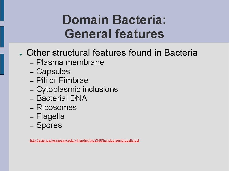 Review of Key Microbial Groups A Domain Bacteria