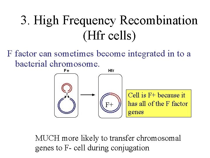 30 Genetics and recombination in bacteria Lecture Outline