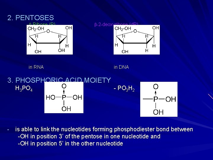 Medical Biochemistry Molecular Principles of Structural Organization of