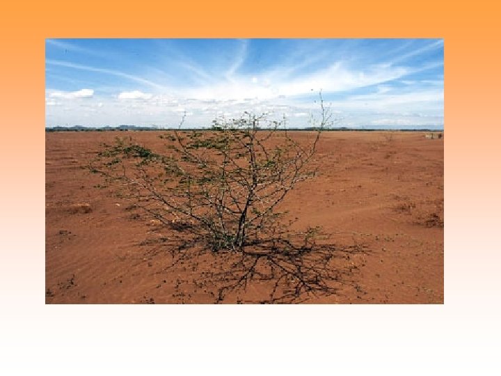 Desertification Sahelian Africa Sahel A semiarid region of