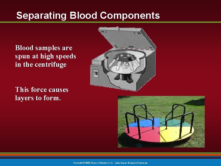 Blood Type of connective tissue The only fluid