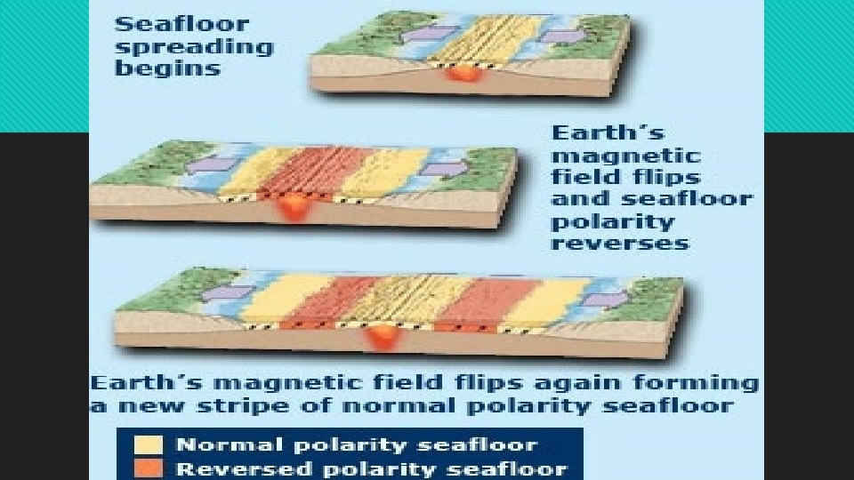 Sea Floor Spreading Seafloor Spreading 1 Midocean ridges