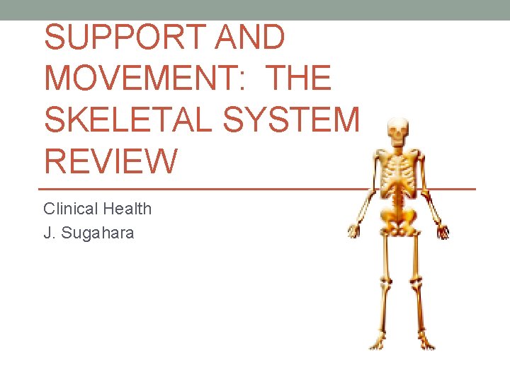 SUPPORT AND MOVEMENT THE SKELETAL SYSTEM REVIEW Clinical