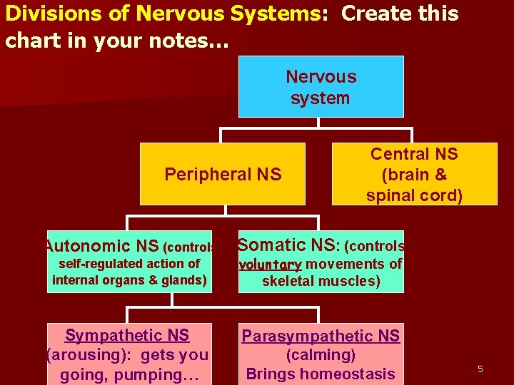 Chapter 6 Neurobiology Heredity Physiological Psychology 1 Ch