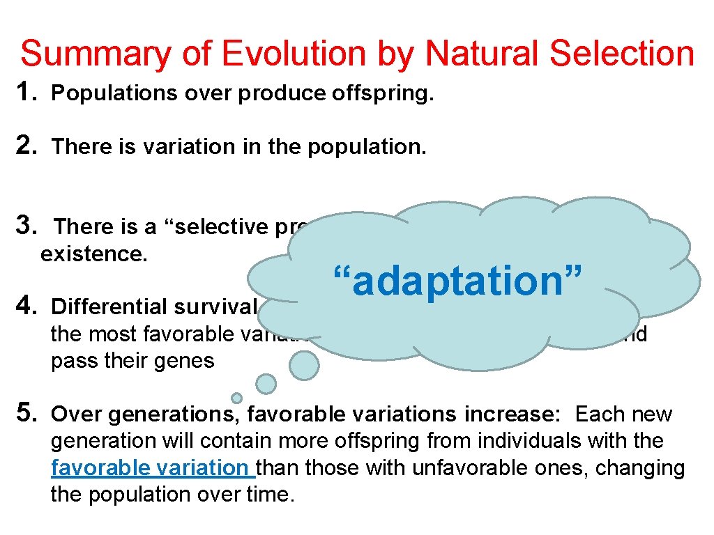 Summary of Evolution by Natural Selection 1 2