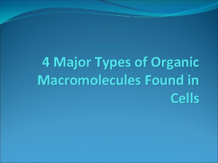 4 Major Types of Organic Macromolecules Found in