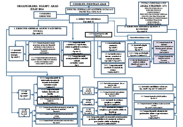 ORGANIGRAMA DGASPC ARAD IULIE 2014 COLEGIUL DIRECTOR TOTAL