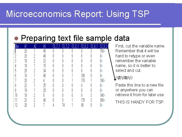 Microeconomics Report Using the TSP a guide for