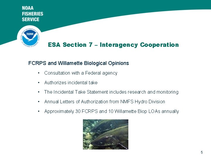 Overview of the Impact of Research and Monitoring