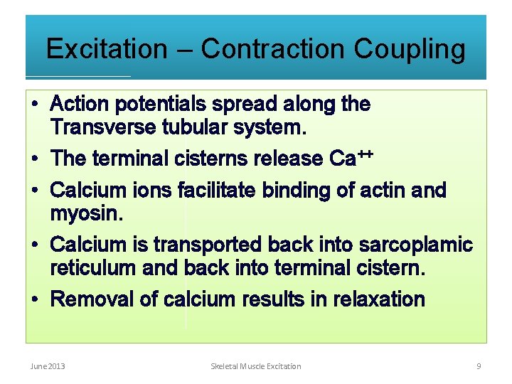 Skeletal Muscle Excitation Prof K Sivapalan Muscle Types