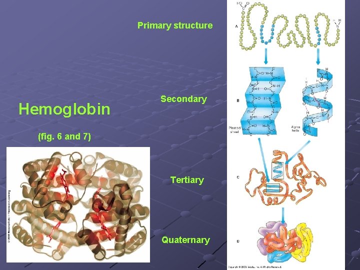 Biochemistry Exploring Macromolecules Organic Chemistry study of chemistry