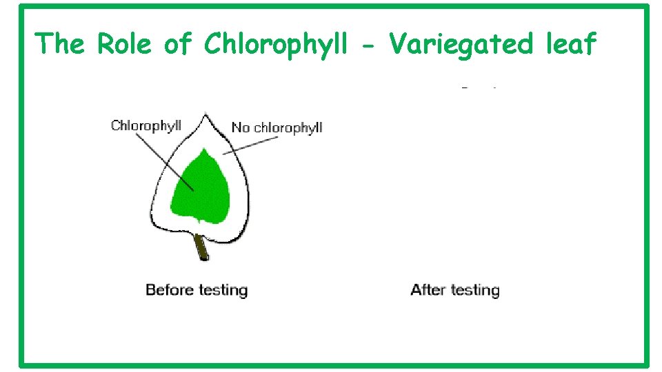 National 5 Biology Unit 3 Life on Earth