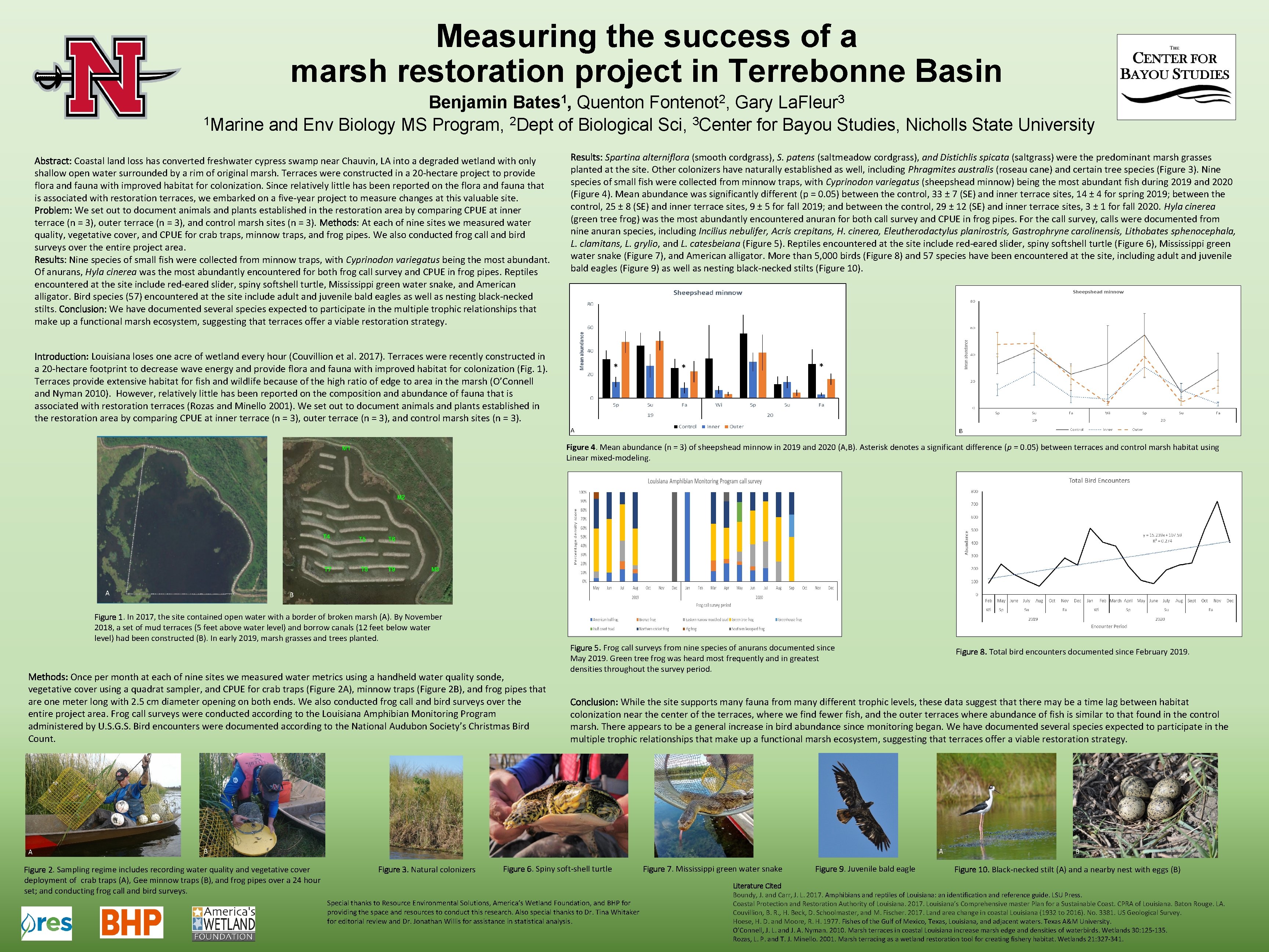 Measuring the success of a marsh restoration project