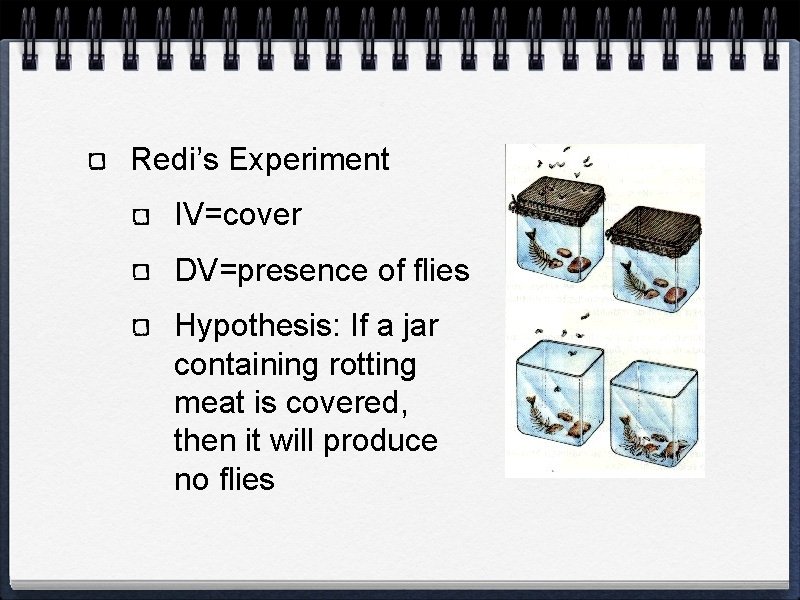 Cell Theory and the history behind it Spontaneous
