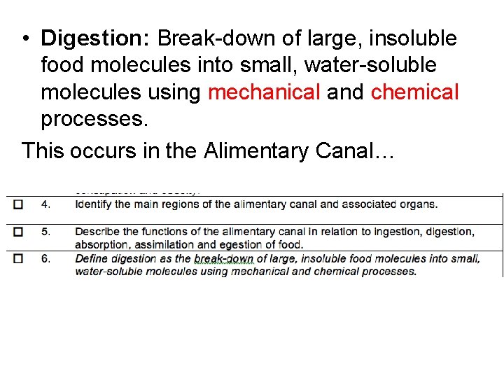 Digestion Breakdown of large insoluble food molecules into