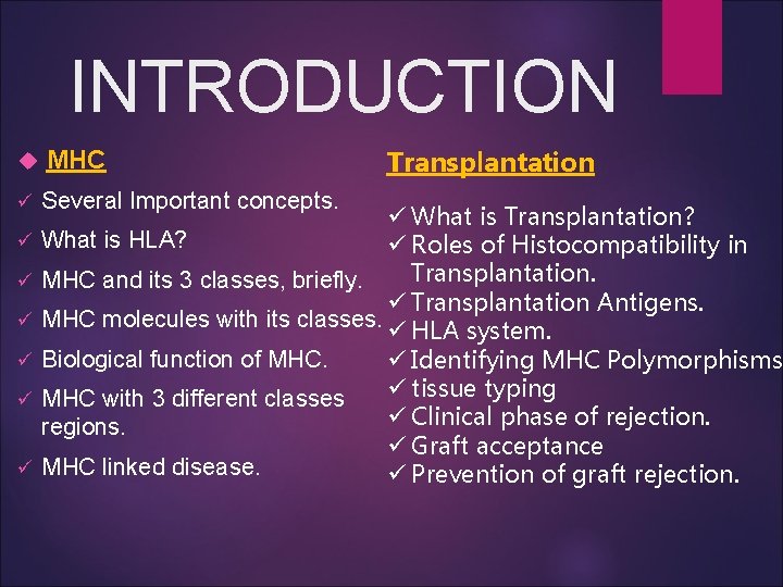 Major Histocompatibility Complex Transplantation Prepared by Shandong ...