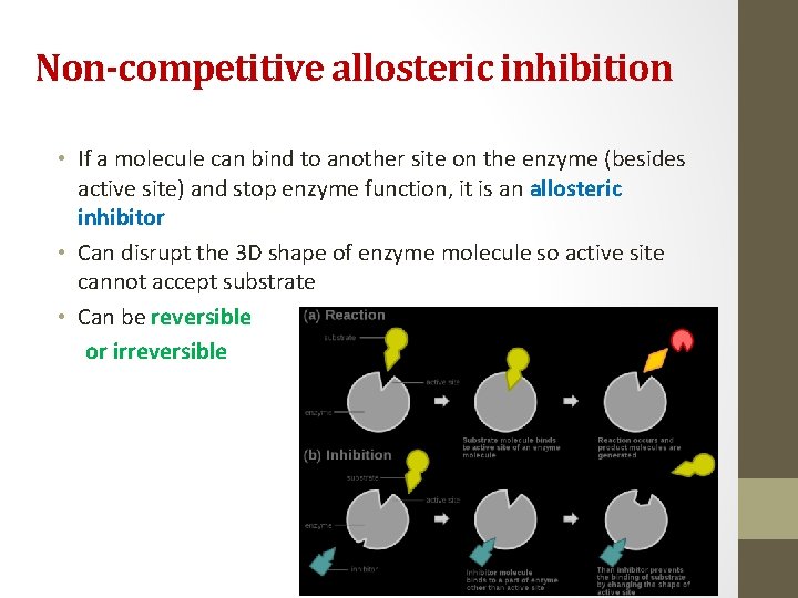 Metabolic Pathways A metabolic pathway begins with a