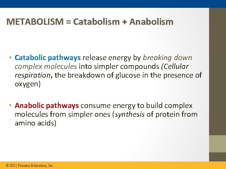 Metabolic Pathways A metabolic pathway begins with a
