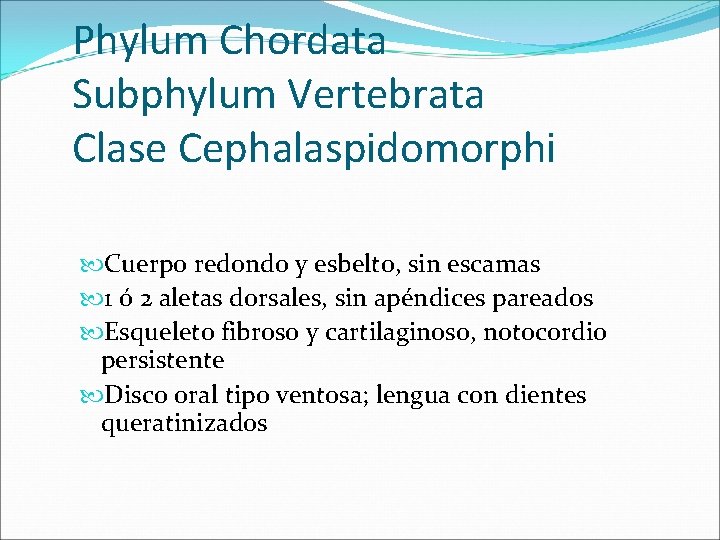 Phylum Chordata Subphylum Vertebrata Clase Cephalaspidomorphi Cuerpo ...