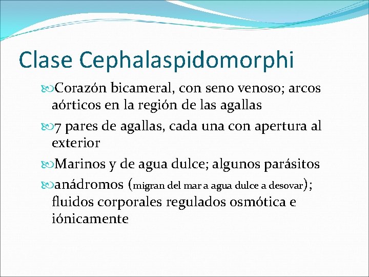 Phylum Chordata Subphylum Vertebrata Clase Cephalaspidomorphi Cuerpo ...