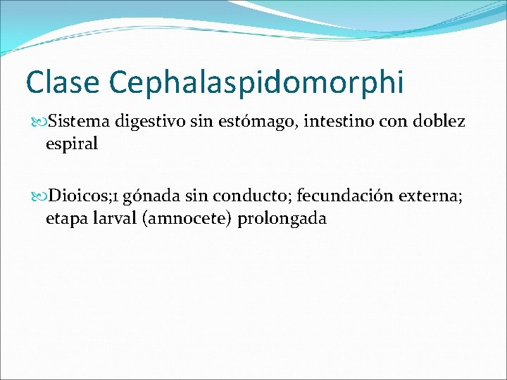 Phylum Chordata Subphylum Vertebrata Clase Cephalaspidomorphi Cuerpo ...