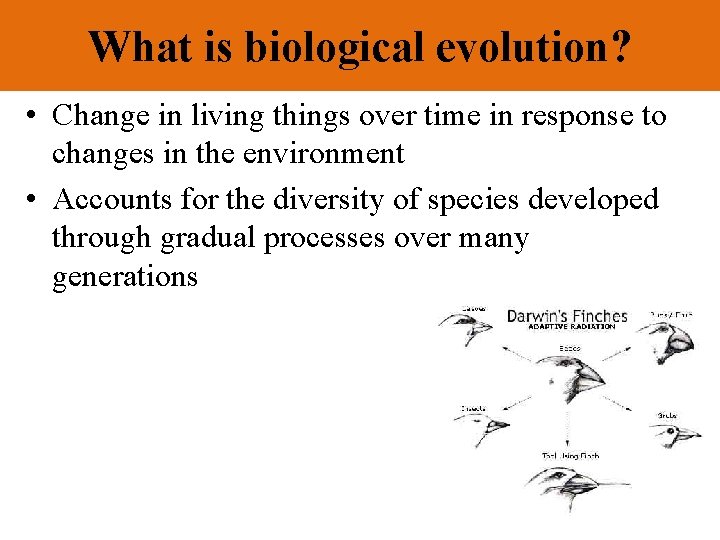 Plate Tectonics and the Evolution of Organisms Create