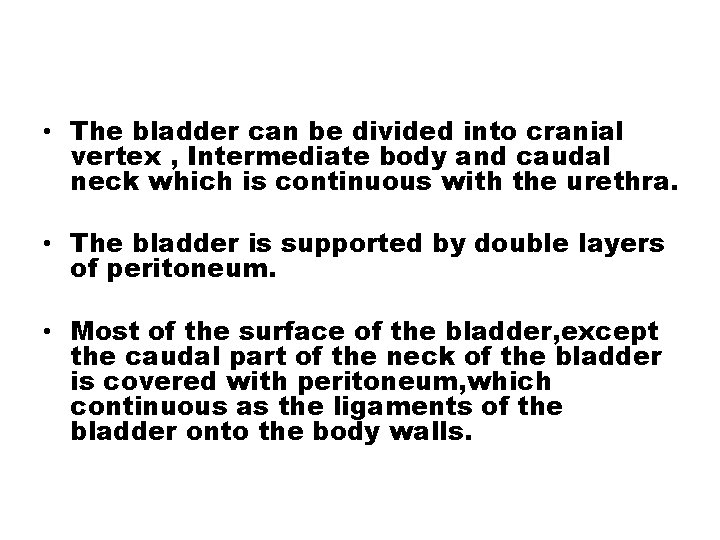URINARY BLADDER BULBOURETHRAL GLAND By MURSHIDA BT SHAHUL
