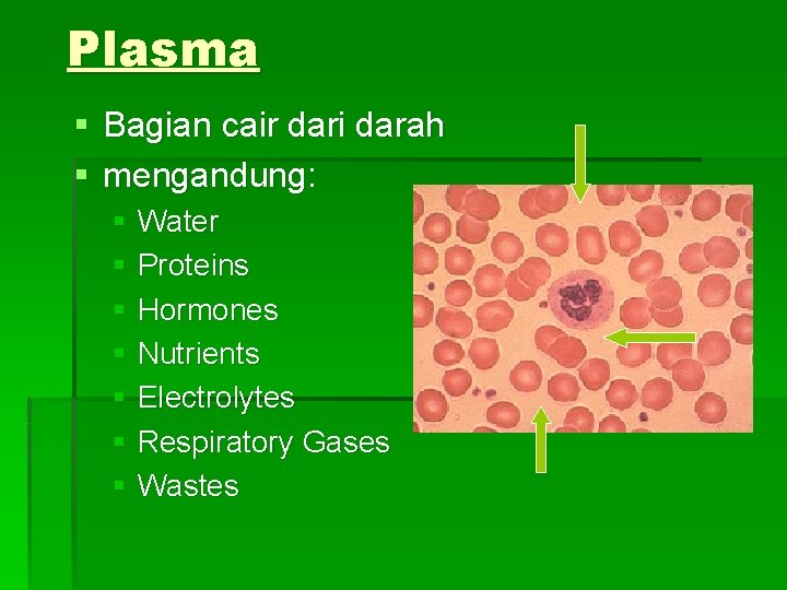 Darah Plasma Bagian cair dari darah mengandung Water