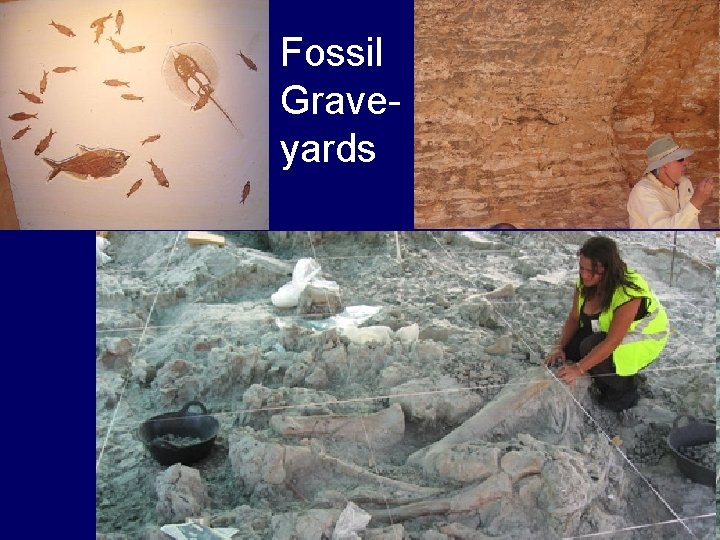 Grace Bible Church Glorifying God by Making Disciples