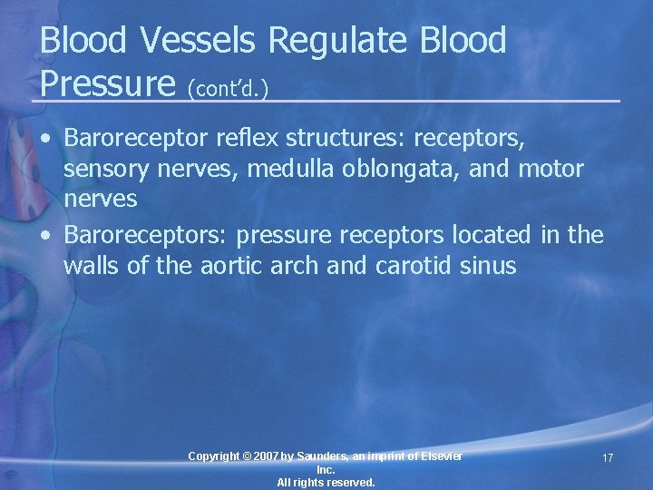 Chapter 19 Functions of the Blood Vessels Lesson