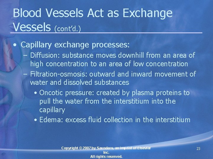 Chapter 19 Functions of the Blood Vessels Lesson