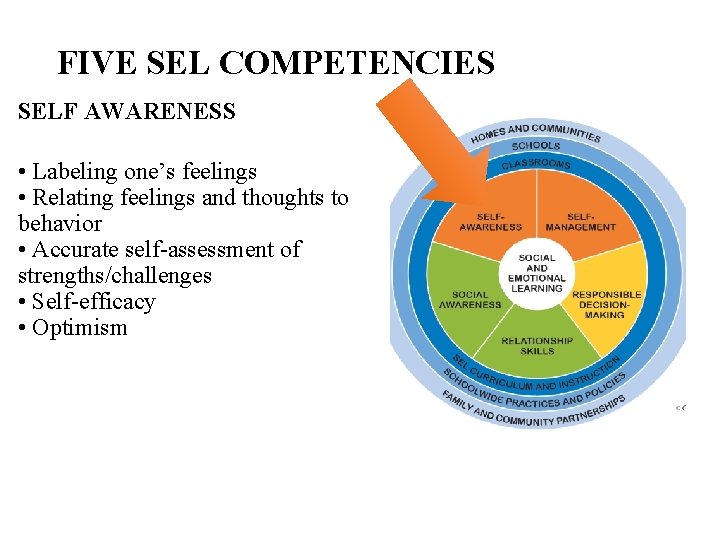 SEL Social and Emotional Learning at Home Kelly