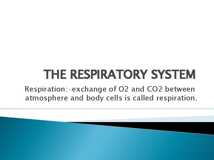 THE RESPIRATORY SYSTEM Respiration exchange of O 2