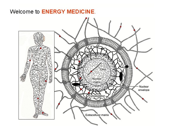 Welcome to ENERGY MEDICINE Energy Therapies handson and