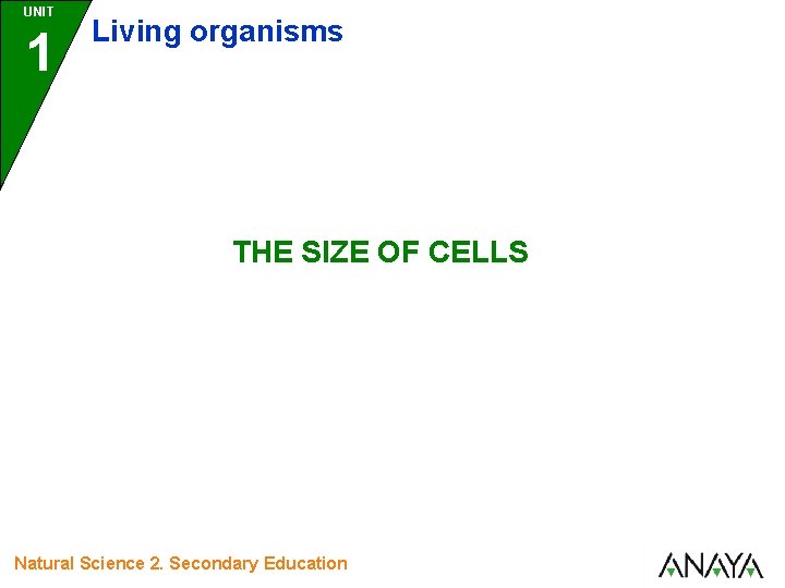 UNIT 1 Living organisms THE SIZE OF CELLS
