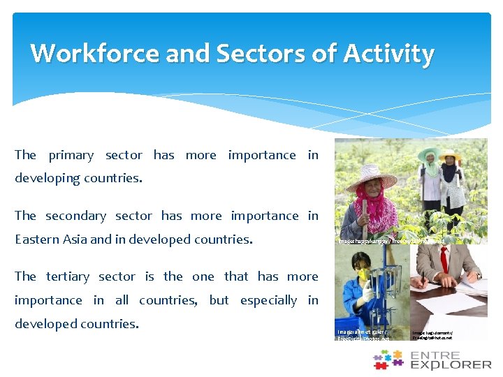 Sectors of activity Image hinnamsaisuy Free Digital Photos