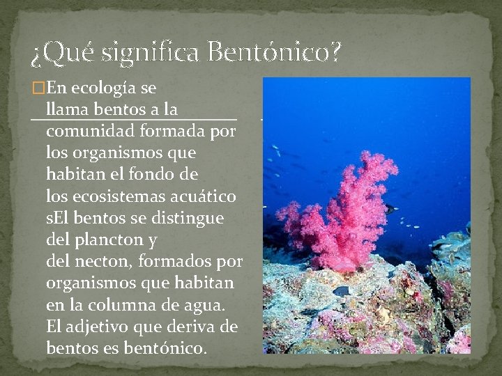El Bentnico lvaro Domnguez Medina Dorian Jimnez Array