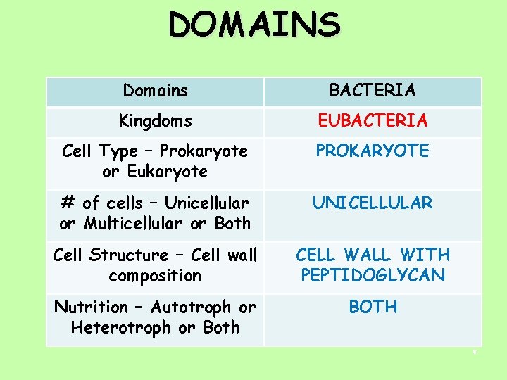 BINOMIAL NOMENCLATURE Two word naming system Scientific name