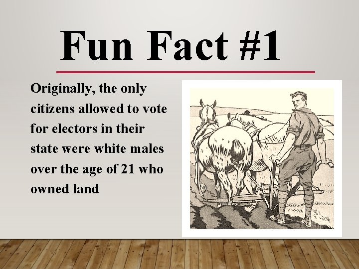 Understanding the Electoral College What Exactly Is the