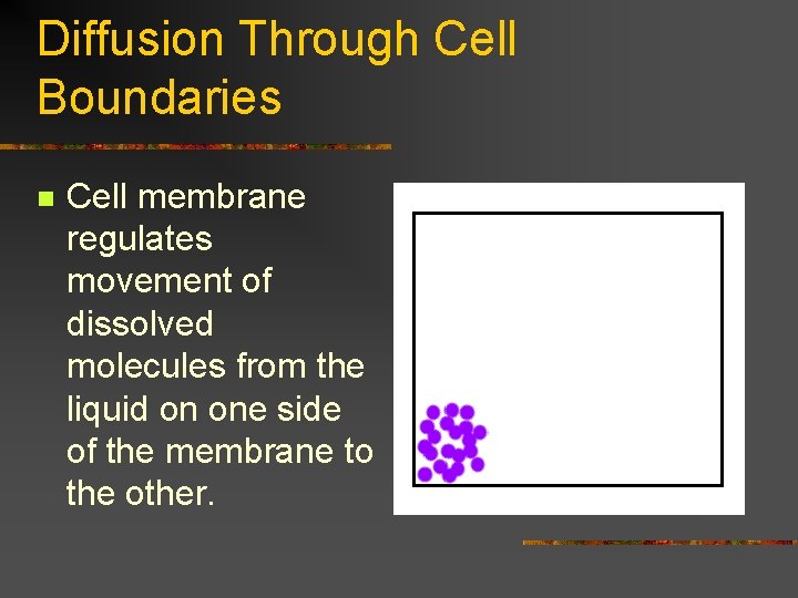 Chapter 7 Section 3 Cell Boundaries Cell Membrane