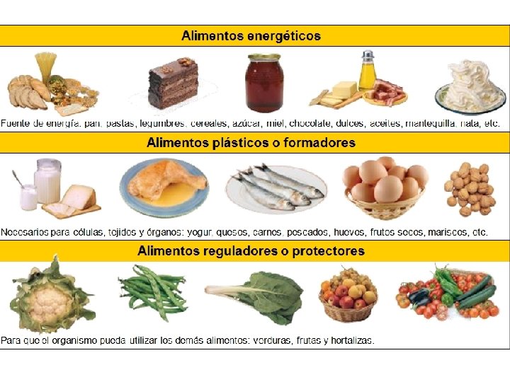 LA ALIMENTACIN Y LA NUTRICIN ALIMENTACIN Consiste en