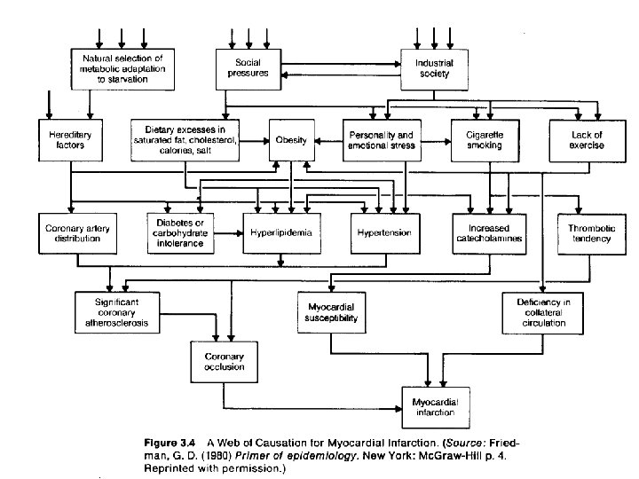 Multicausalidad MULTICAUSALIDAD Teoras de la causalidad de enfermedad