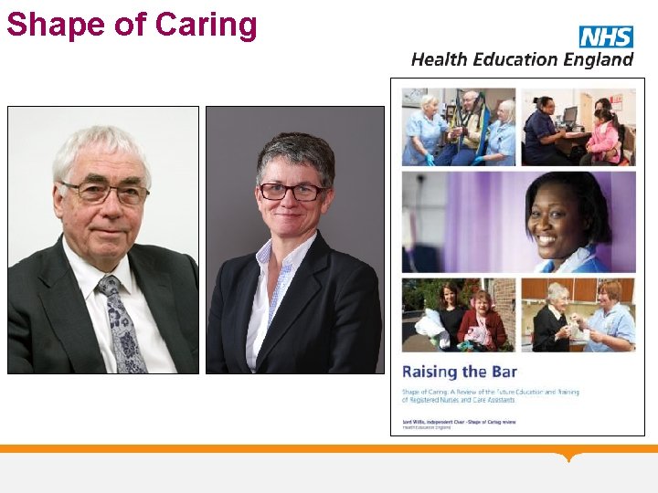 Shape of Caring Sue Hatton Senior Nursing Policy