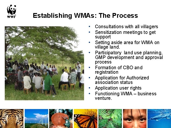 ESTABLISHING WILDLIFE MANAGEMENT AREAS Impacts of CBNRM on