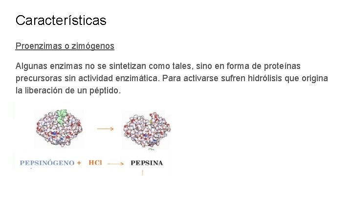 QUMICA BIOLGICA ENZIMAS 4 QUMICA ESCUELA ORT Introduccin