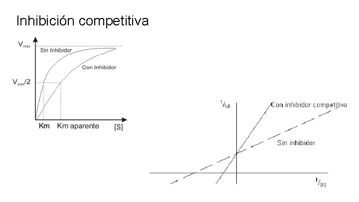 QUMICA BIOLGICA ENZIMAS 4 QUMICA ESCUELA ORT Introduccin