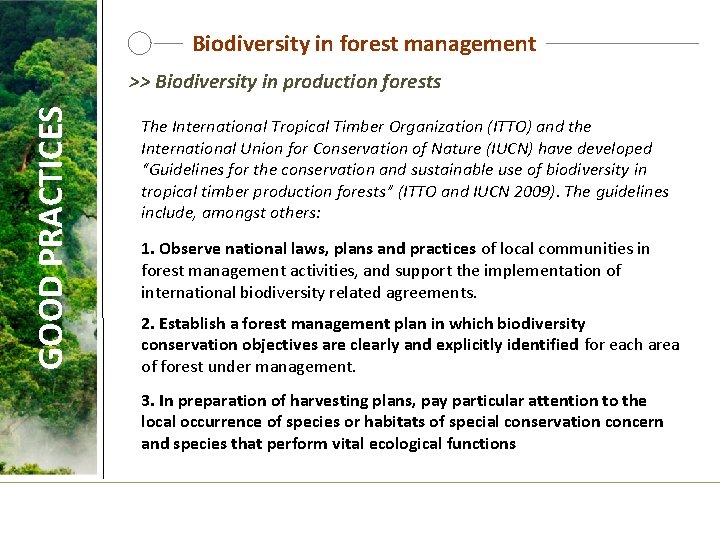 SUSTAINABLE FOREST MANAGEMENT BIODIVERSITY and LIVELIHOODS This ...