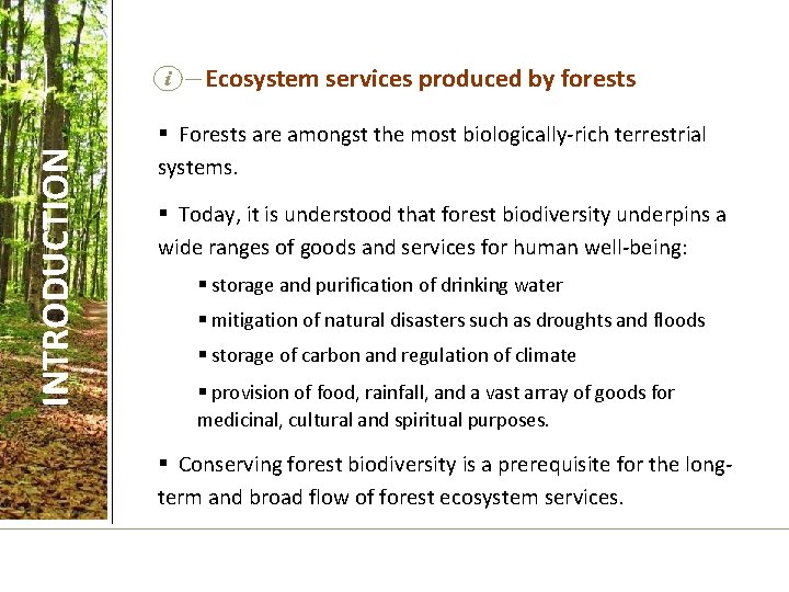 SUSTAINABLE FOREST MANAGEMENT BIODIVERSITY and LIVELIHOODS This ...