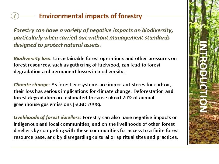 SUSTAINABLE FOREST MANAGEMENT BIODIVERSITY and LIVELIHOODS This ...