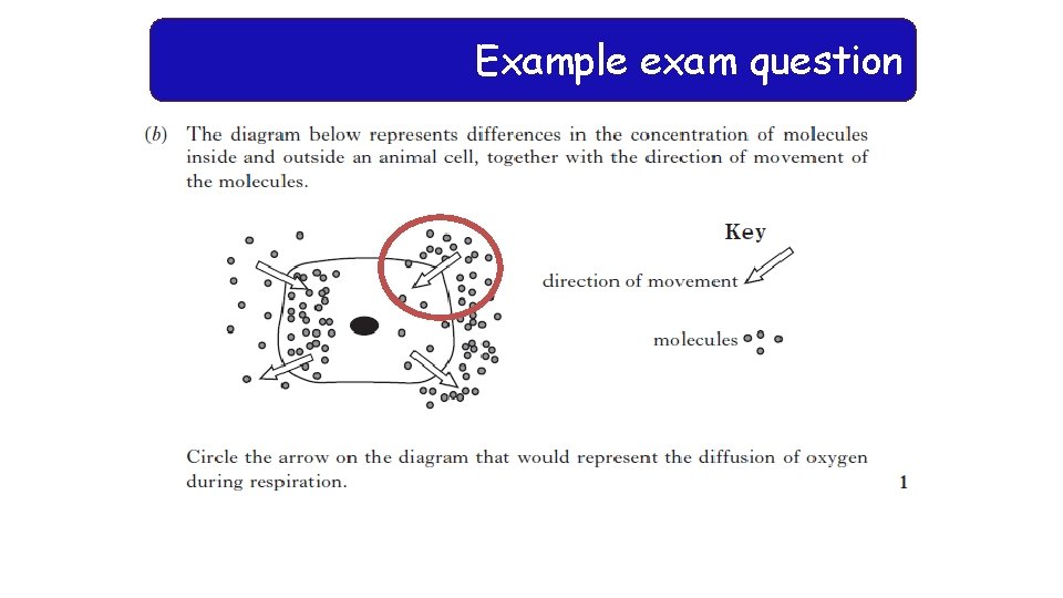 National 5 Biology Unit 1 Cell Biology Key